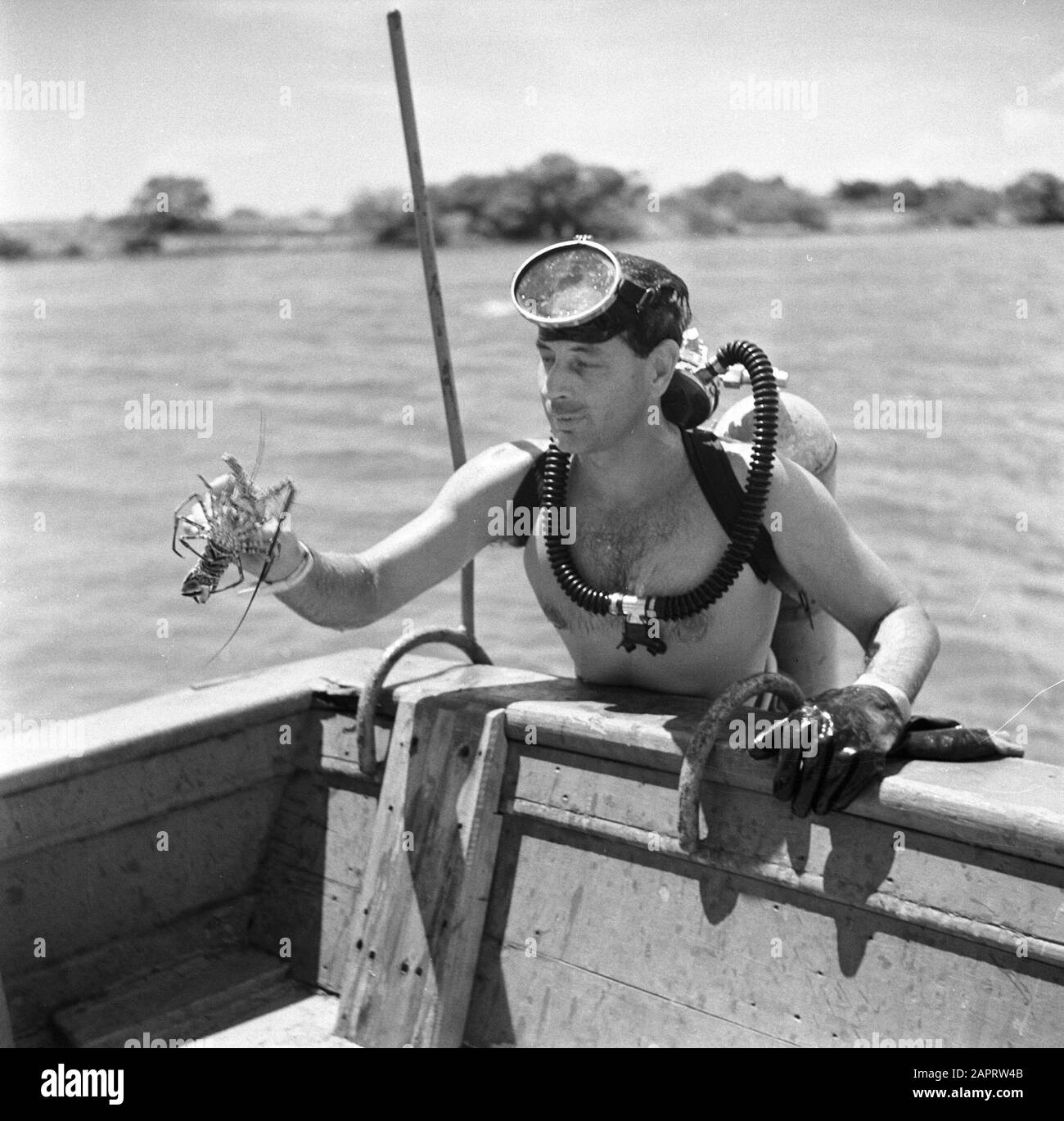 Dutch lobster Black and White Stock Photos & Images - Alamy