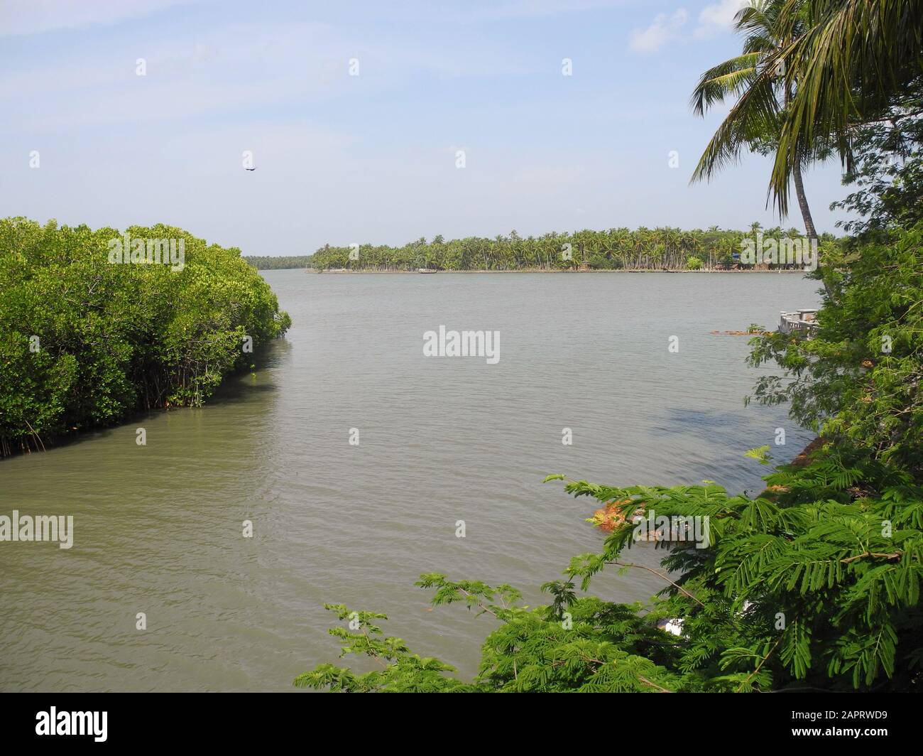 Backwaters Bay in Kerala Kochi Stock Photo - Alamy