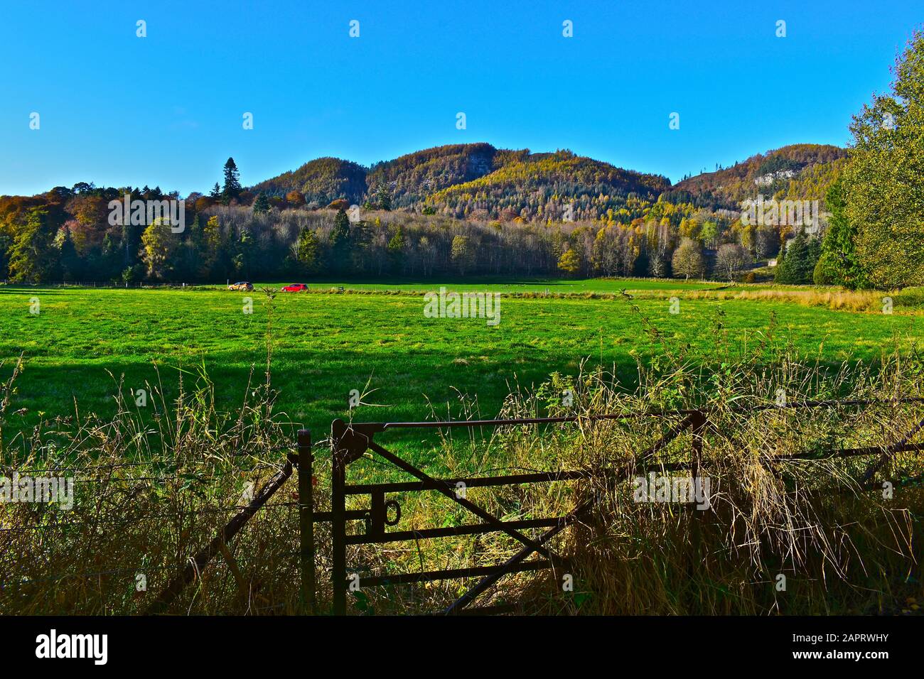 Tree clad hi-res stock photography and images - Alamy