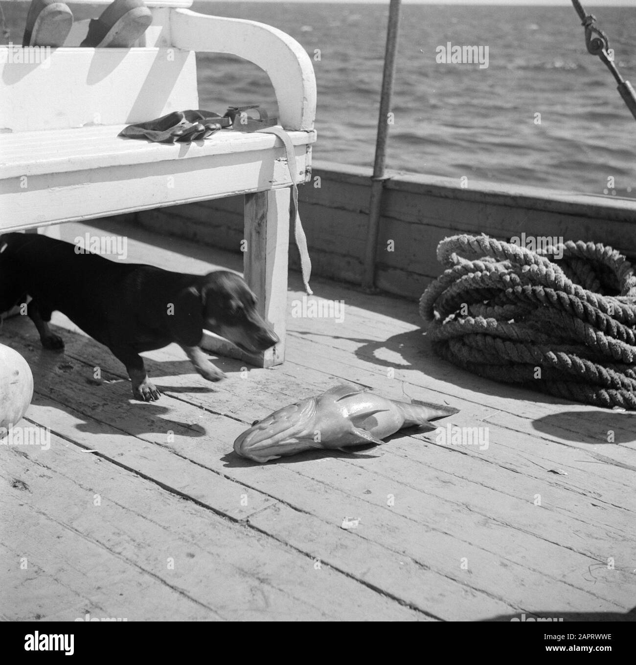 Dutch Antilles and Suriname at the time of the royal visit of Queen ...