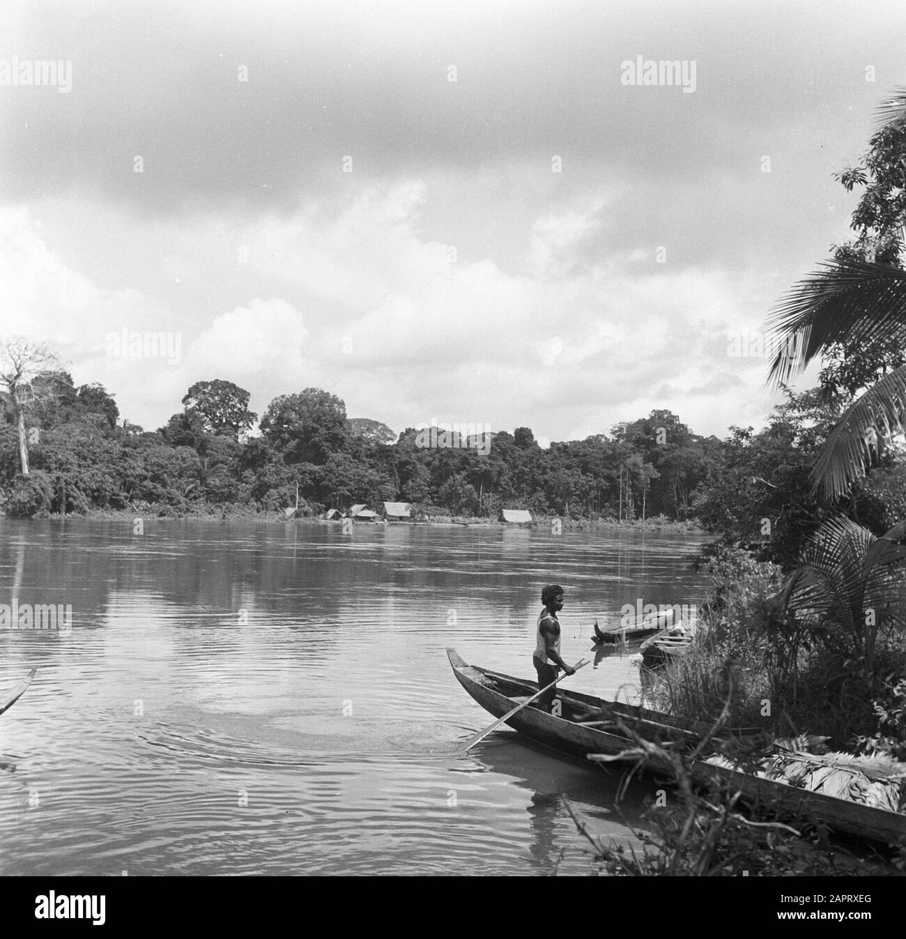 Journey to Suriname and the Netherlands Antilles A korjaal on the banks ...