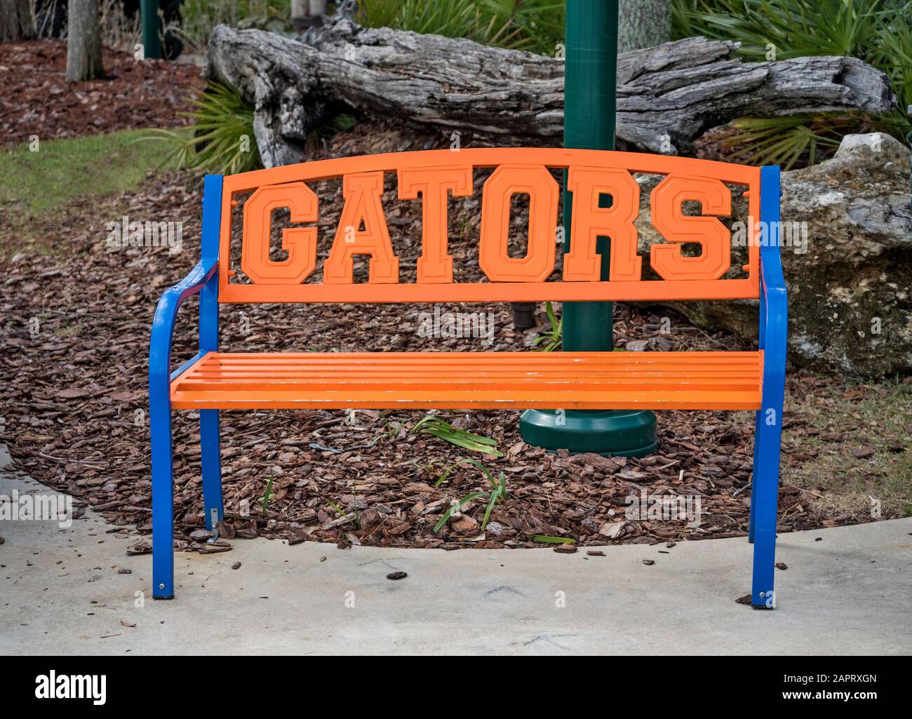 Gators bench hi-res stock photography and images - Alamy