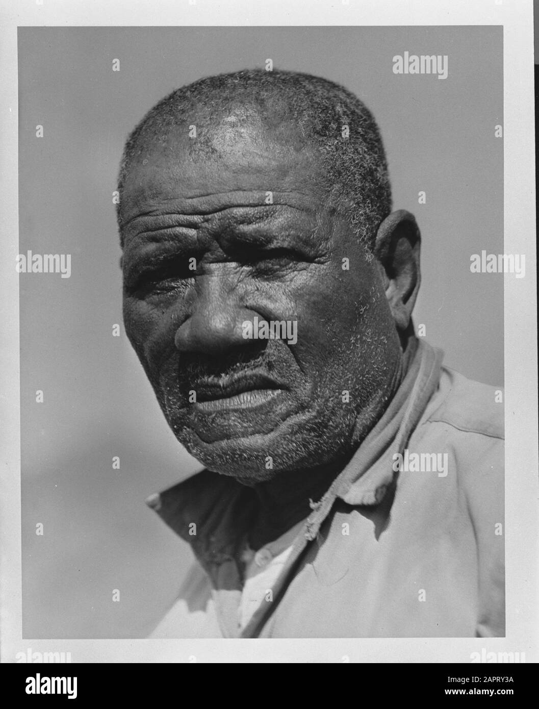 White background saint martin Black and White Stock Photos & Images - Alamy