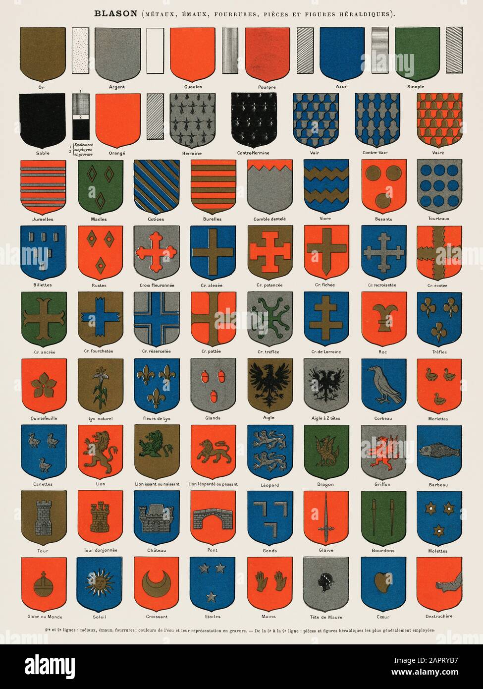 Vintage illustration artwork from an original plate Stock Photo - Alamy