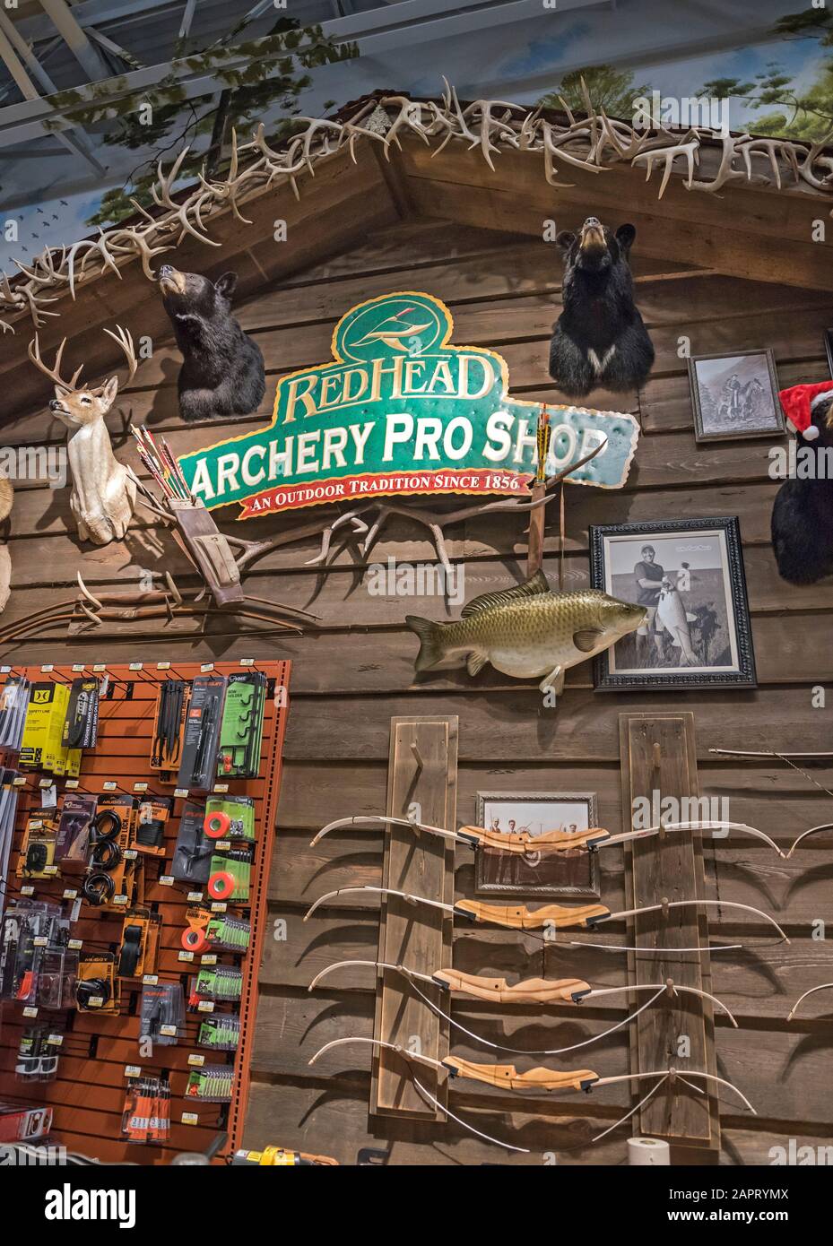 Pro store hi-res stock photography and images - Alamy