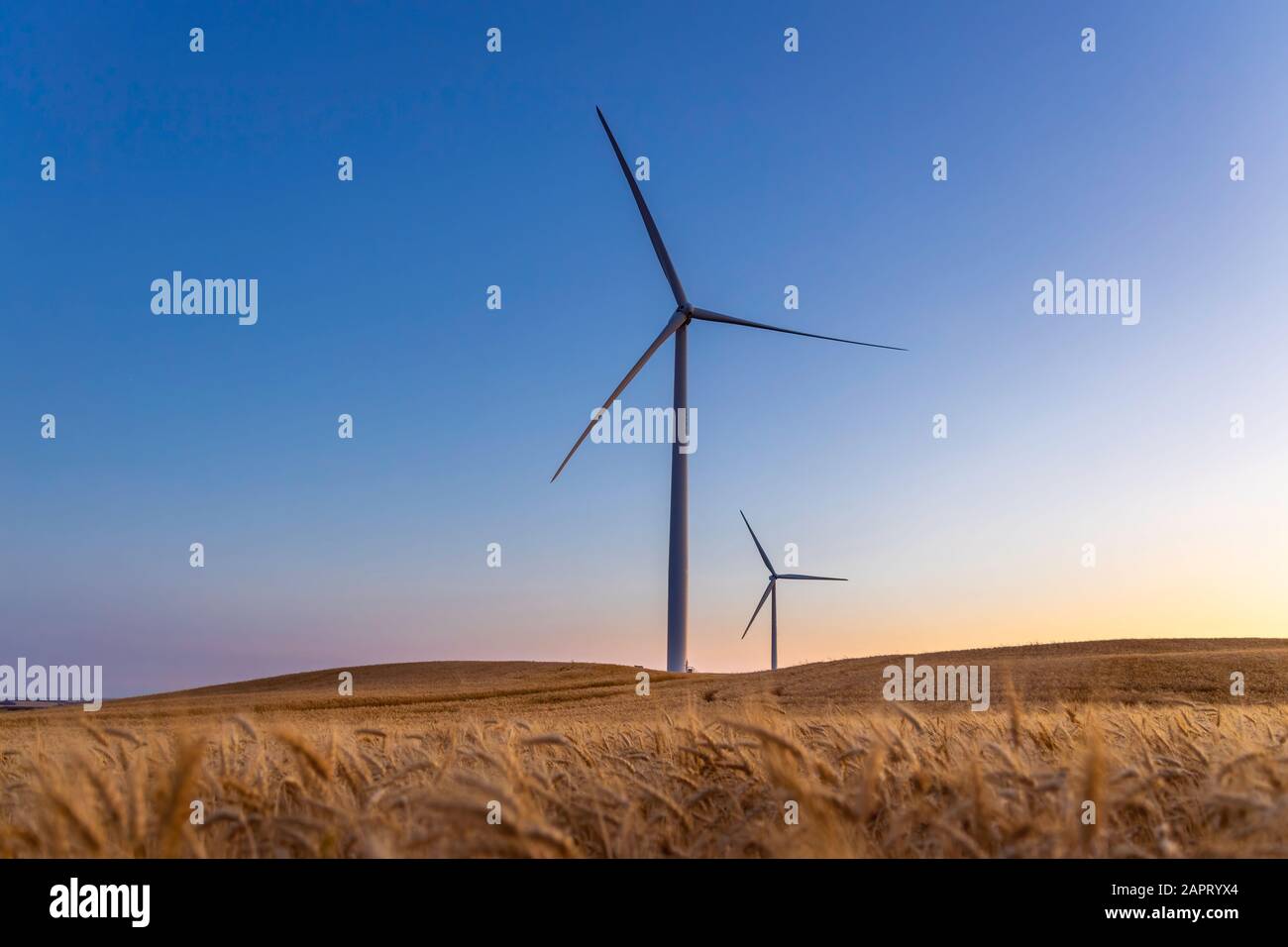 Two wind turbines rotate around generating energy in the middle of a ...