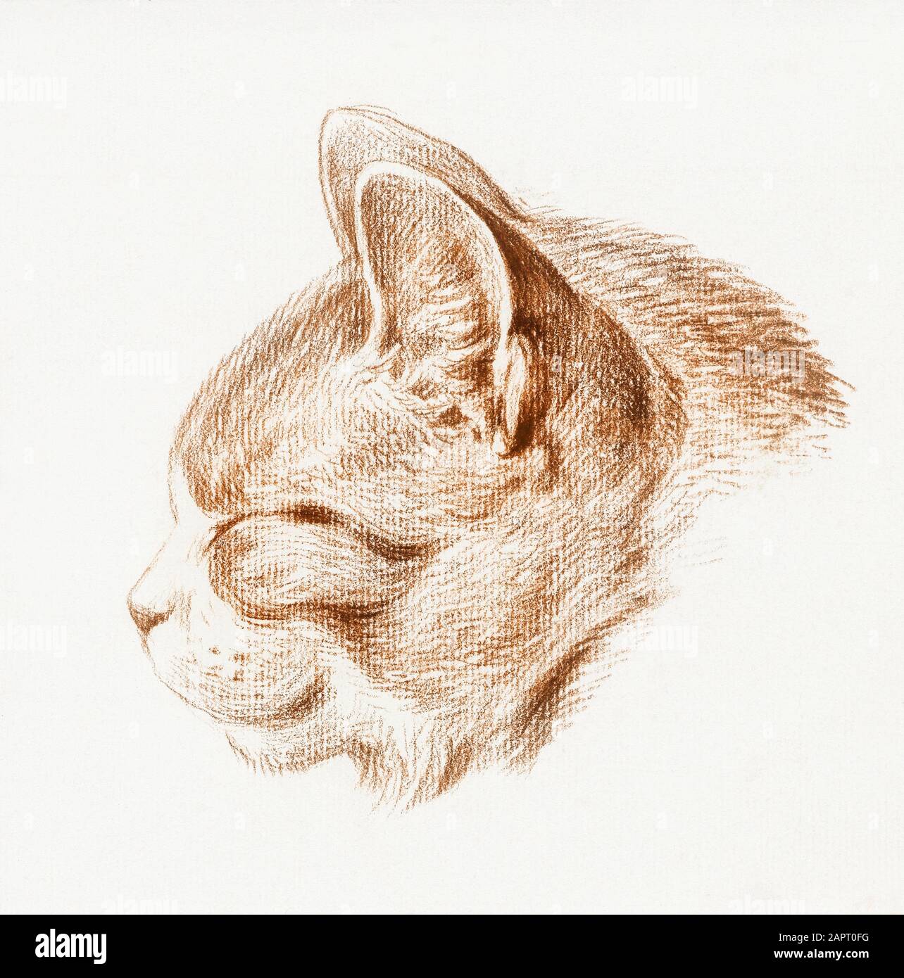 Vintage cat head painting hi-res stock photography and images - Alamy