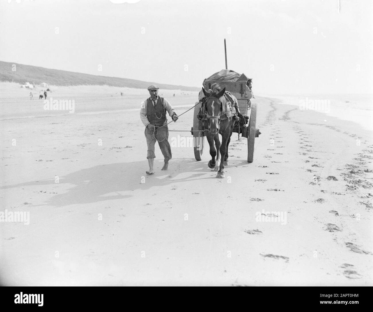 Reportage model A shell cart with a man next to the beach of Zandvoort ...
