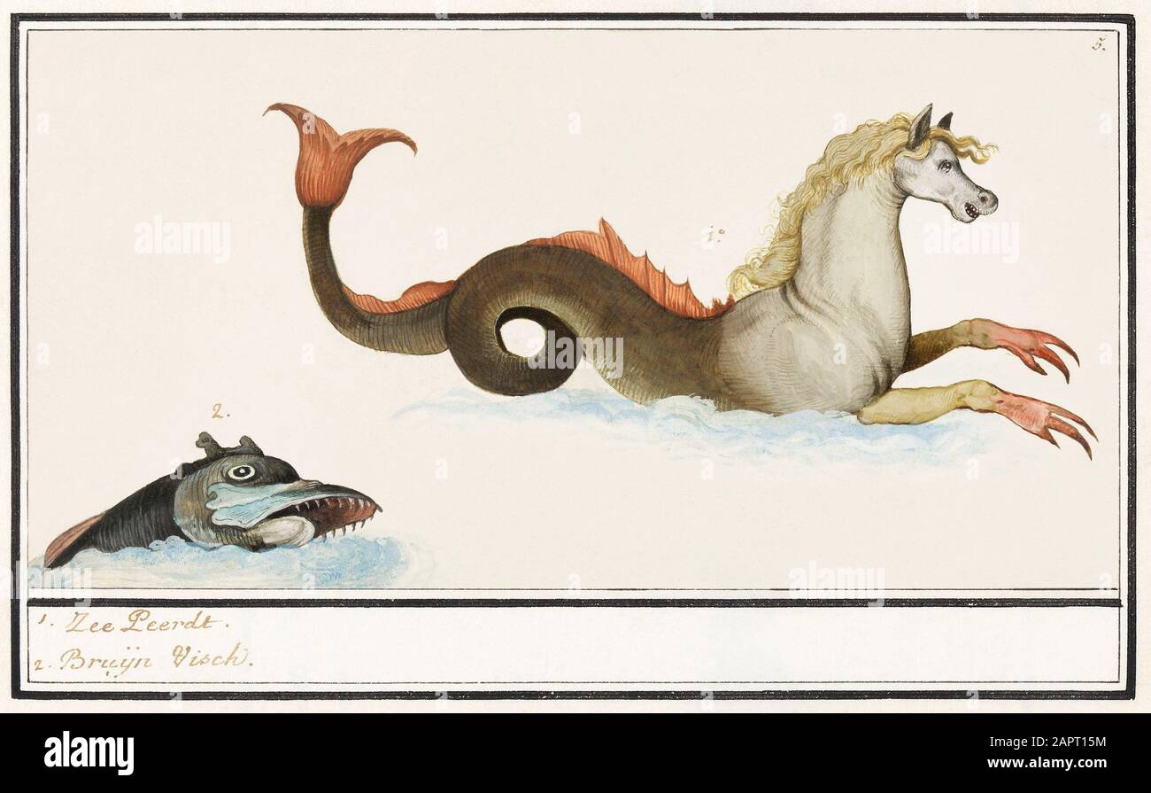 Vintage illustration artwork from an original plate Stock Photo - Alamy