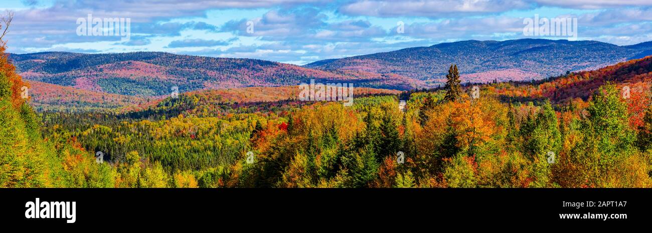 Vibrant autumn coloured foliage in the forest running over the hills ...