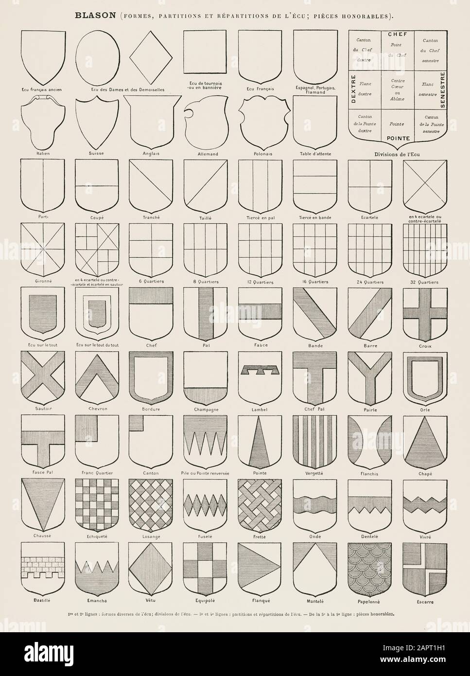 Vintage illustration artwork from an original plate Stock Photo - Alamy