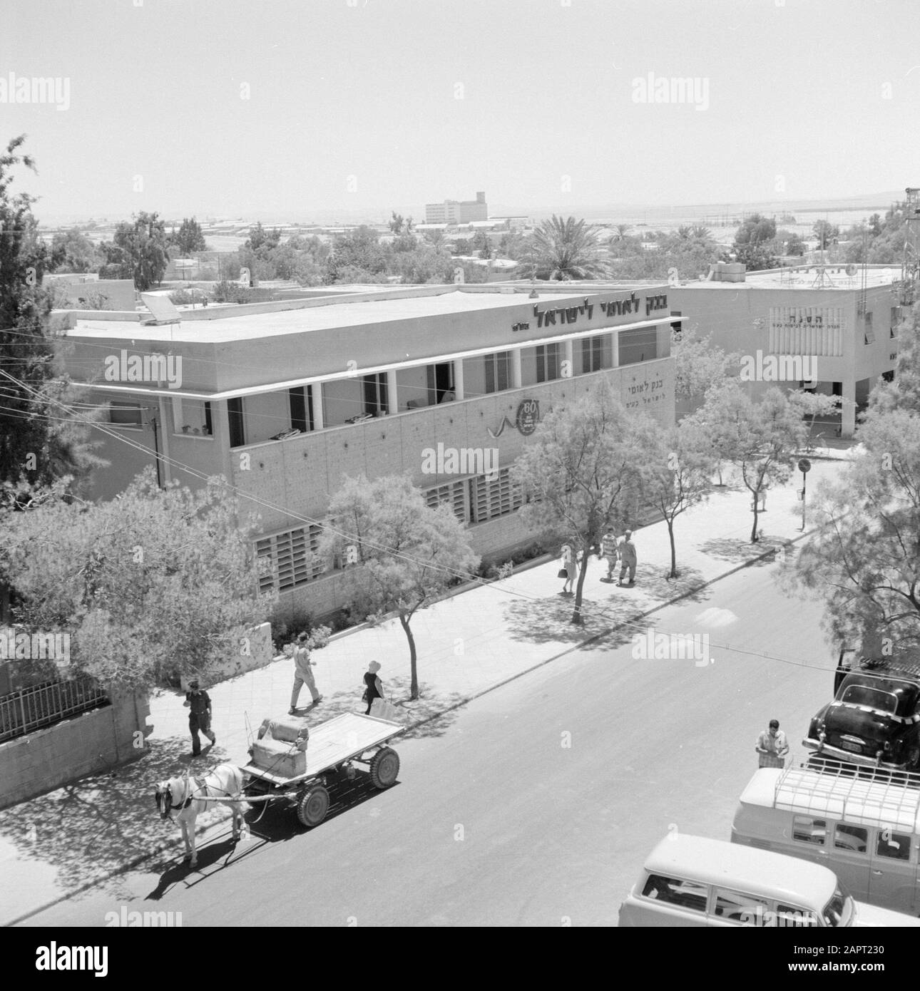 Israel: Bersheba A road with trees plant and with a horse and cart Date ...