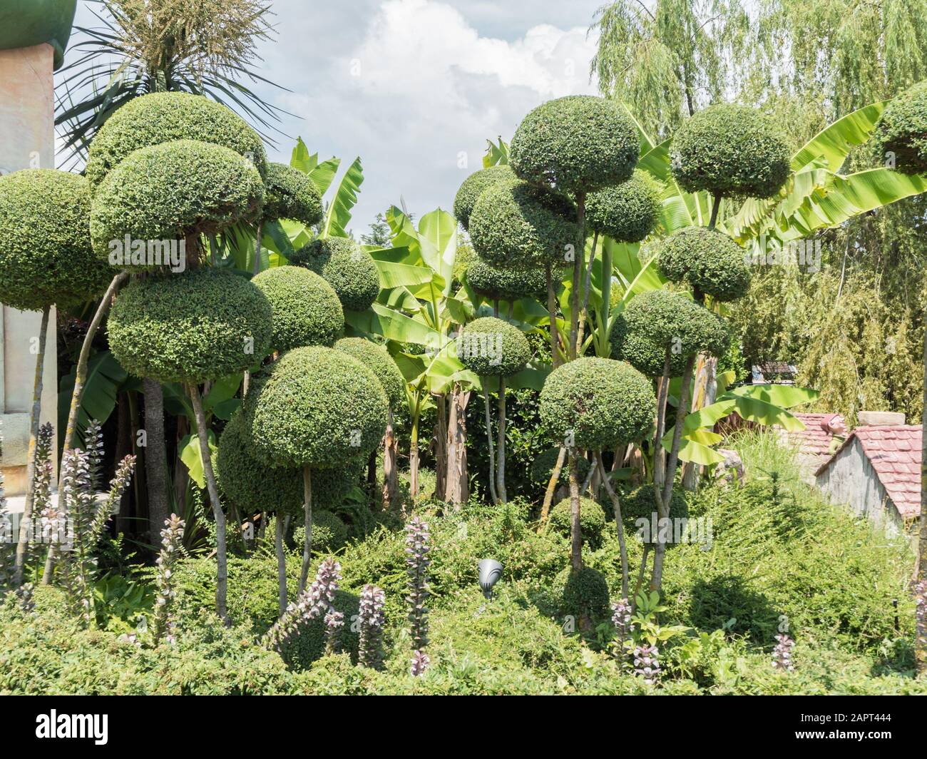 Trees Outside Year Round