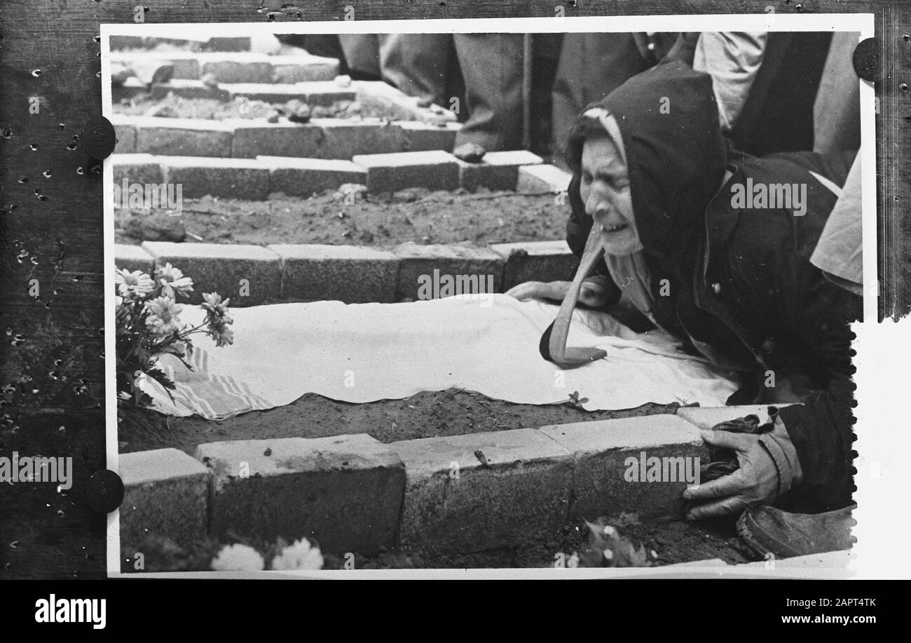 Memorial Day Israel flowers on grave Date: December 14, 1956 Keywords ...