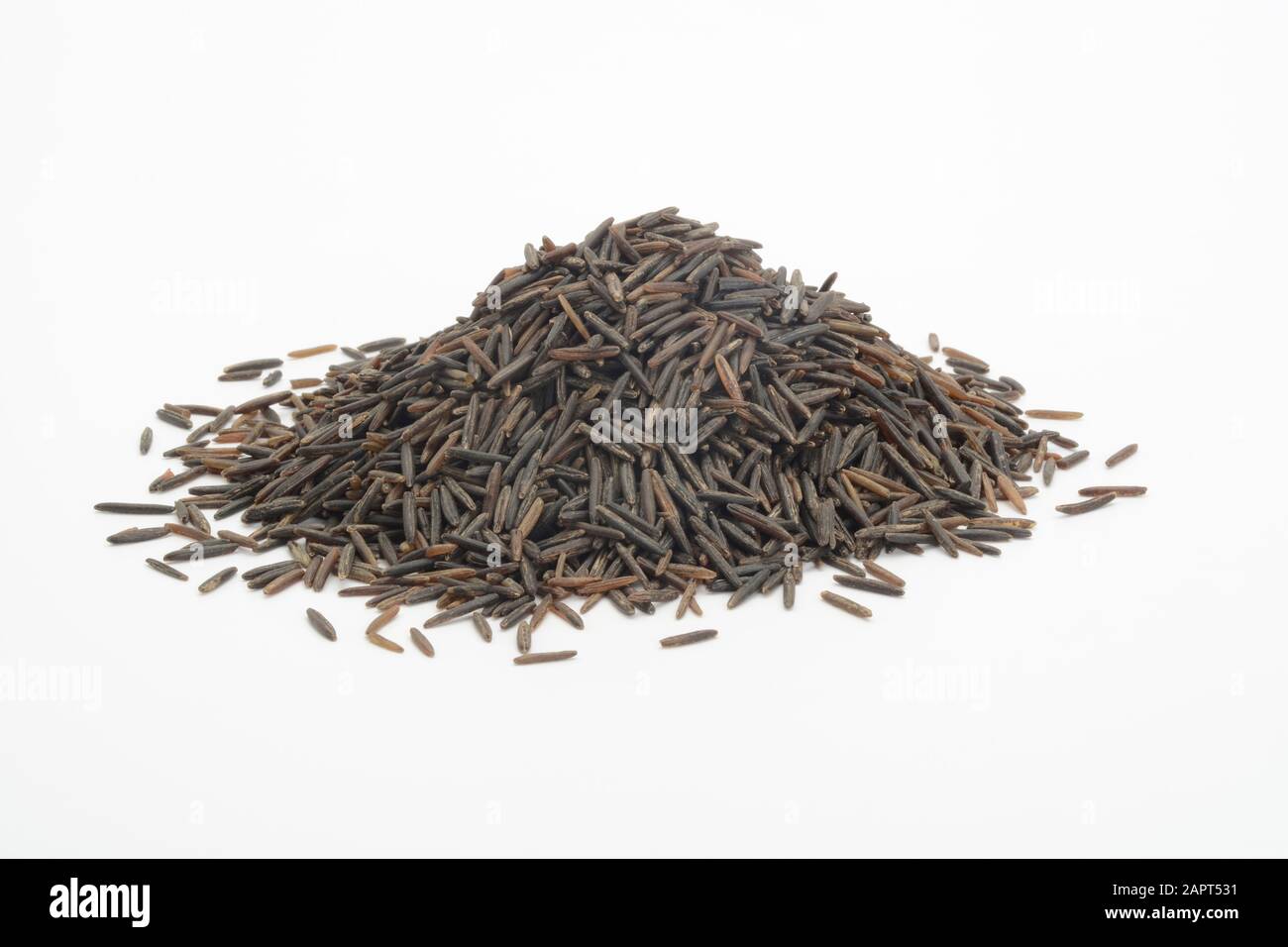 Zizania High Resolution Stock Photography and Images - Alamy