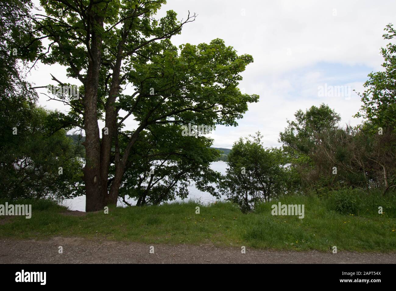 Ballock Lock Lomond Scotland Stock Photo - Alamy