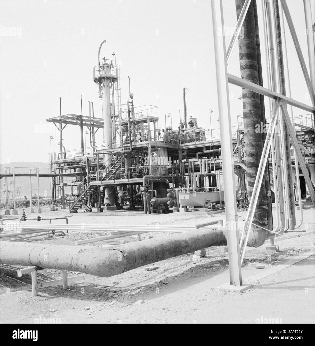 Plant for fertilizer at Haifa Date: January 1, 1964 Location: Haifa ...