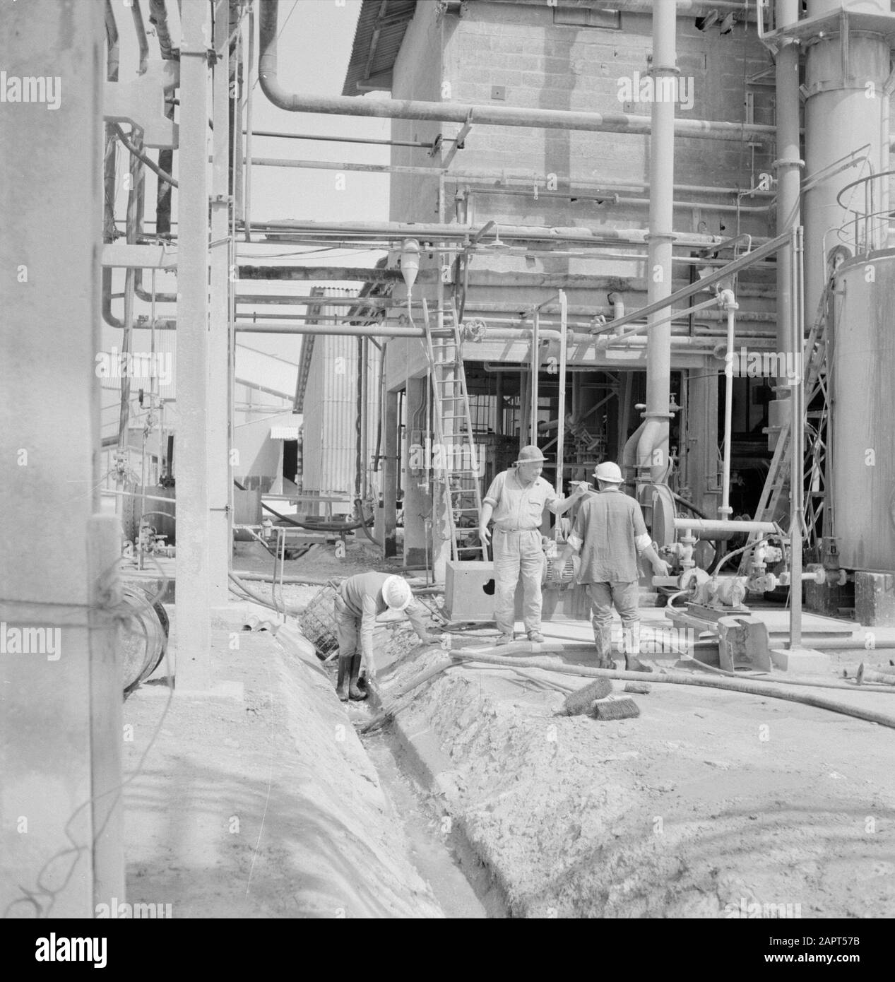Plant for fertilizer at Haifa. Workers working at installations Date: 1 ...