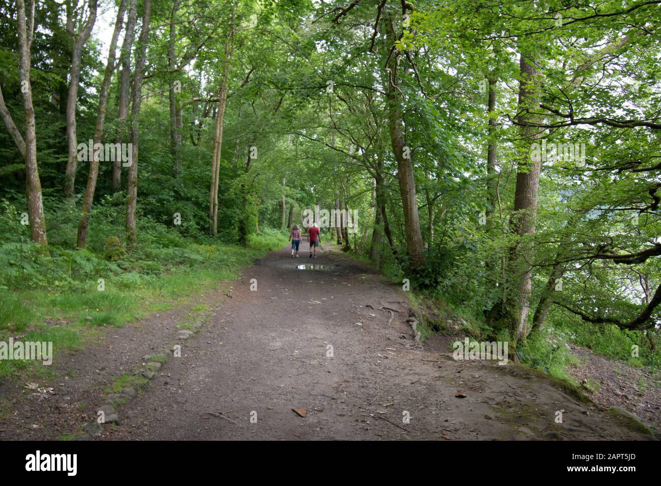 Ballock Lock Lomond Scotland Stock Photo - Alamy