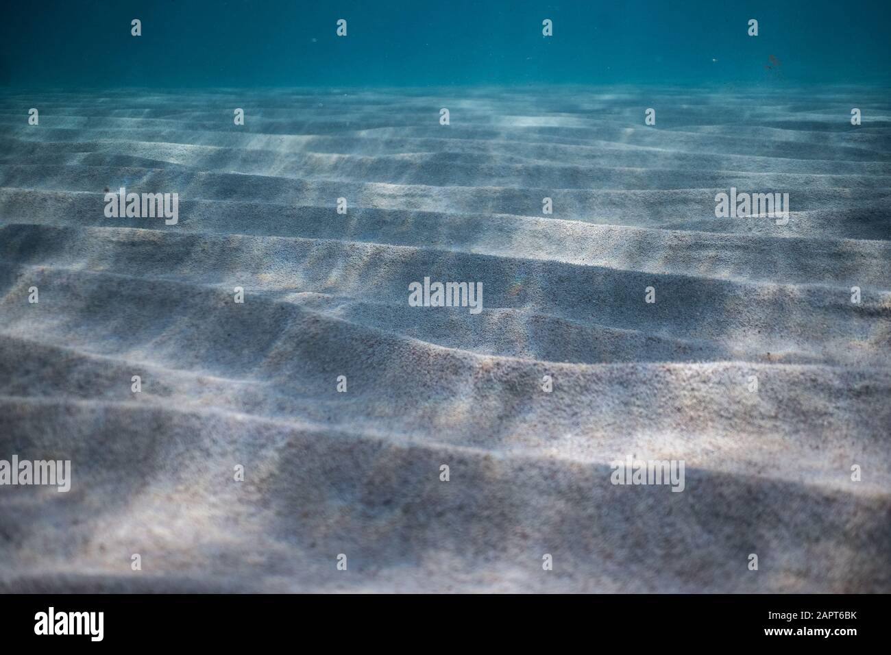 Underwater shoot of an infinite sandy sea bottom with waves on a sea ...