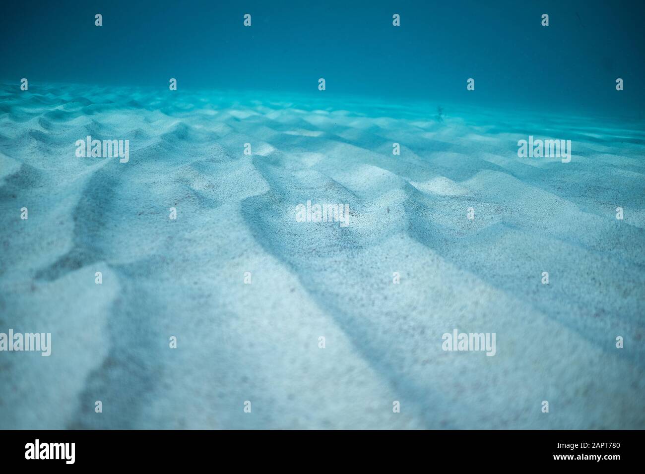 Underwater shoot of an infinite sandy sea bottom with waves on a sea ...