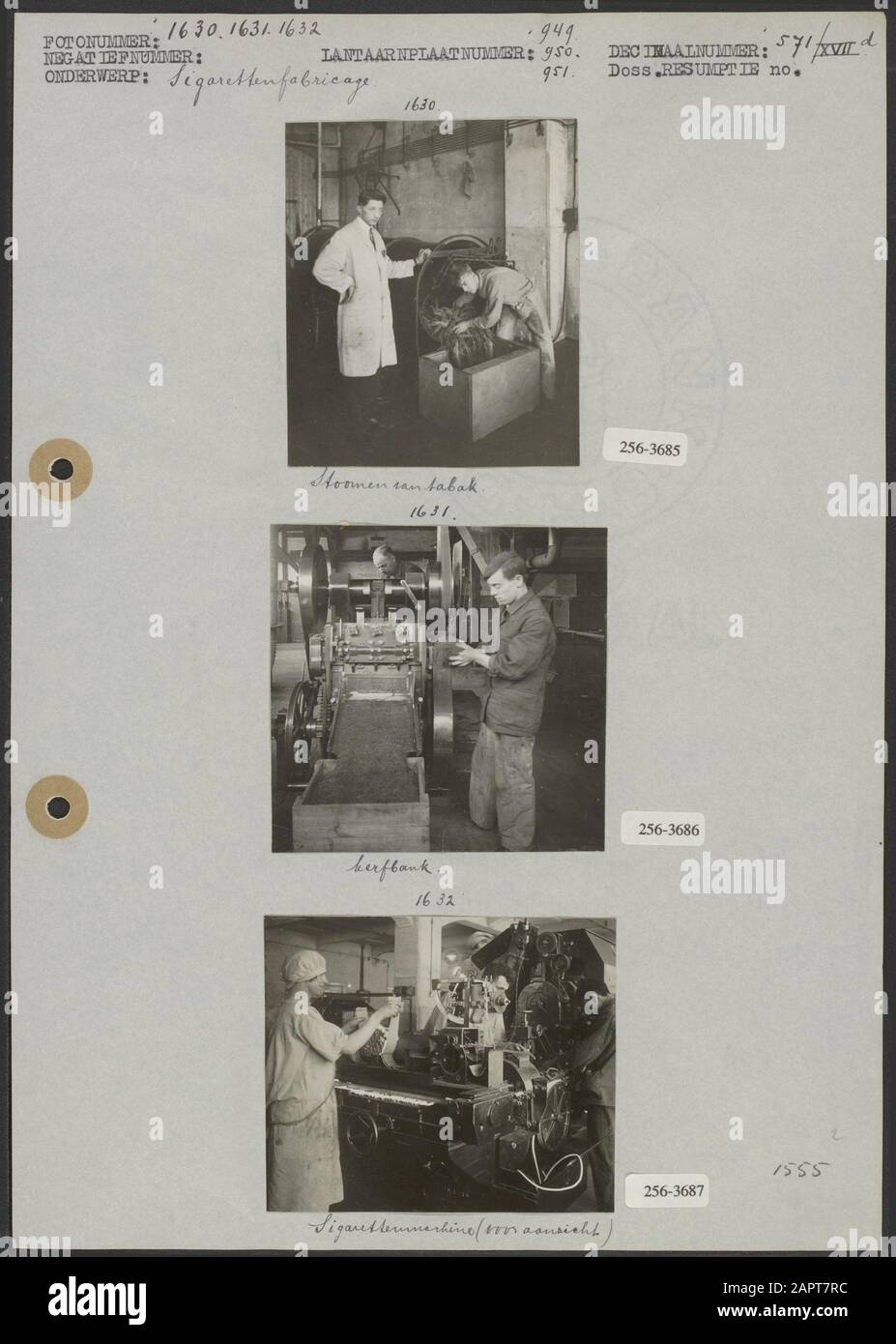 Cigarette production process hi-res stock photography and images - Alamy