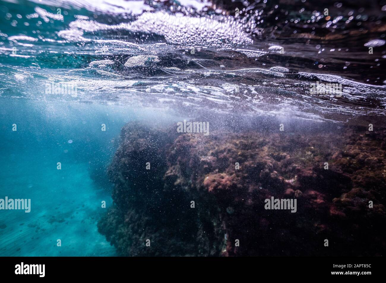 Half and half underwater shot hi-res stock photography and images - Alamy