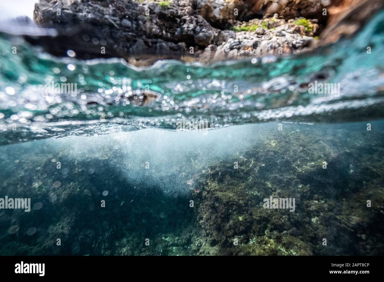 Half underwater shot hi-res stock photography and images - Alamy