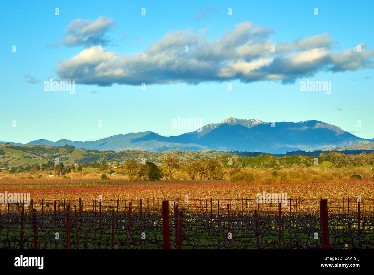 Mount st helena hi-res stock photography and images - Alamy