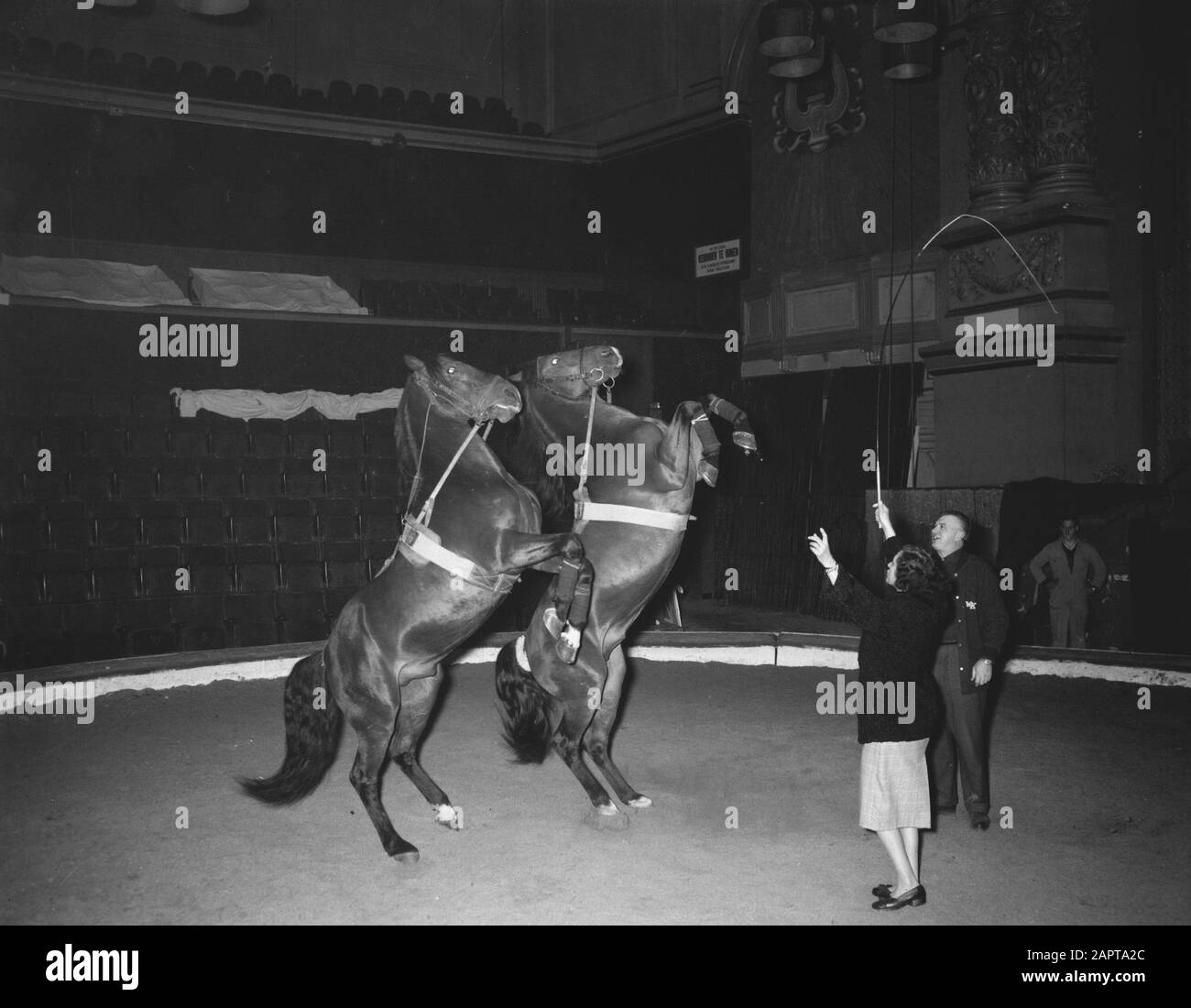 Carre elly belli strassburger hi-res stock photography and images - Alamy