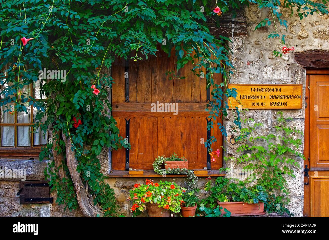 2 windows, wood shutters open horizontally, green leafy vine, flowers ...