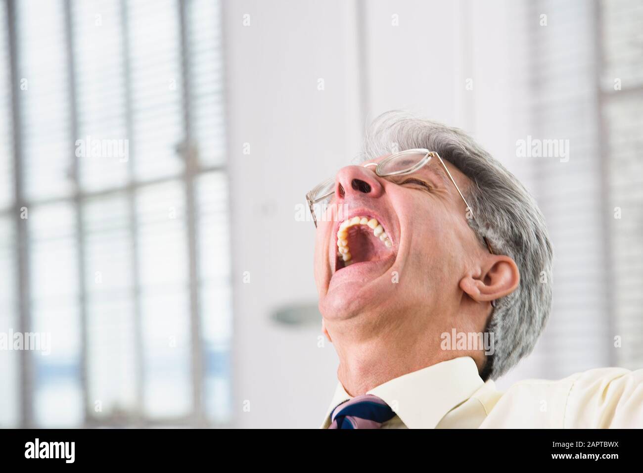Laugh out loud people hi-res stock photography and images - Alamy