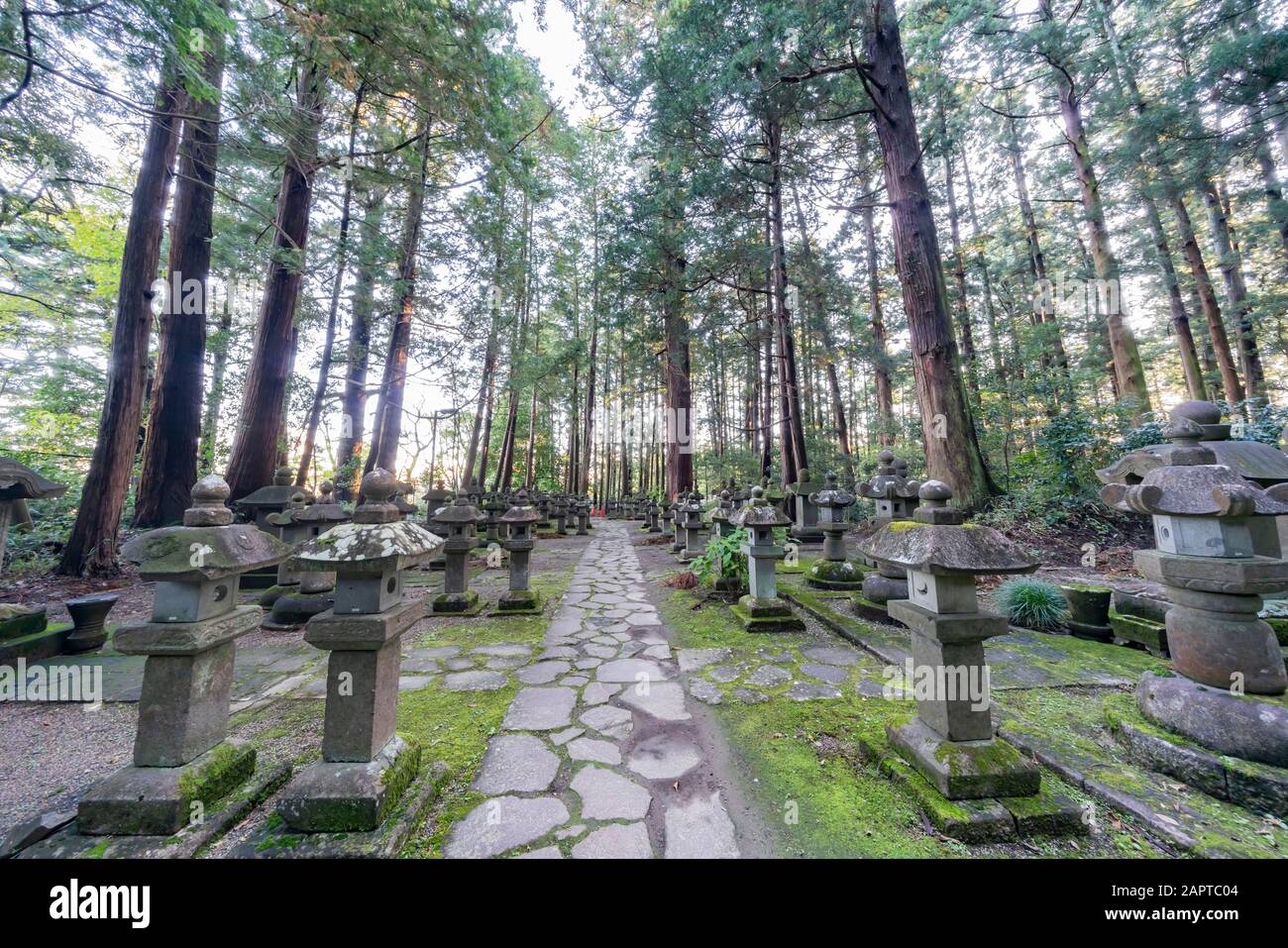 Children cemetery of Zuihoji Temple at Sendai, Japan Stock Photo - Alamy