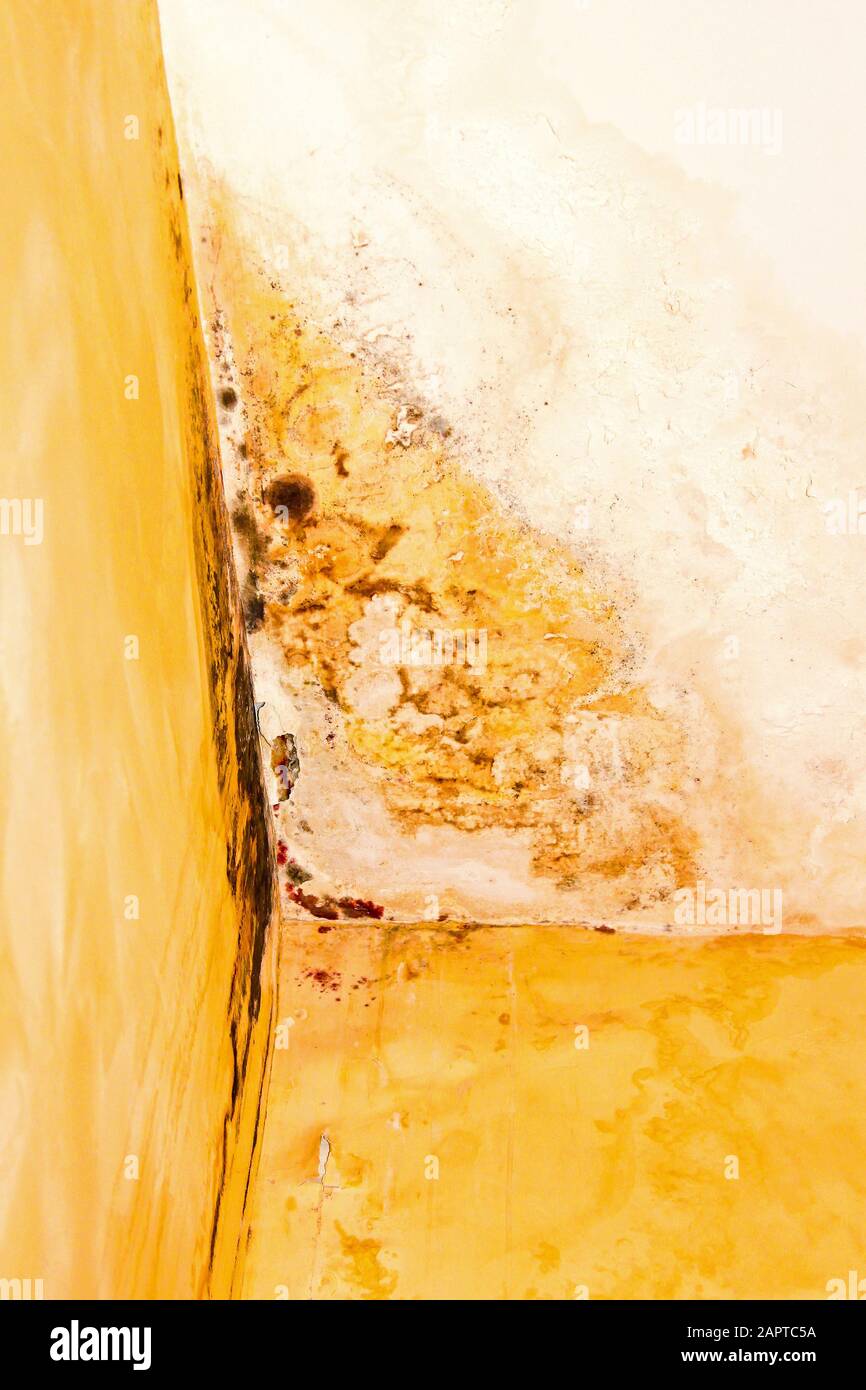 Distinctive form hi-res stock photography and images - Alamy