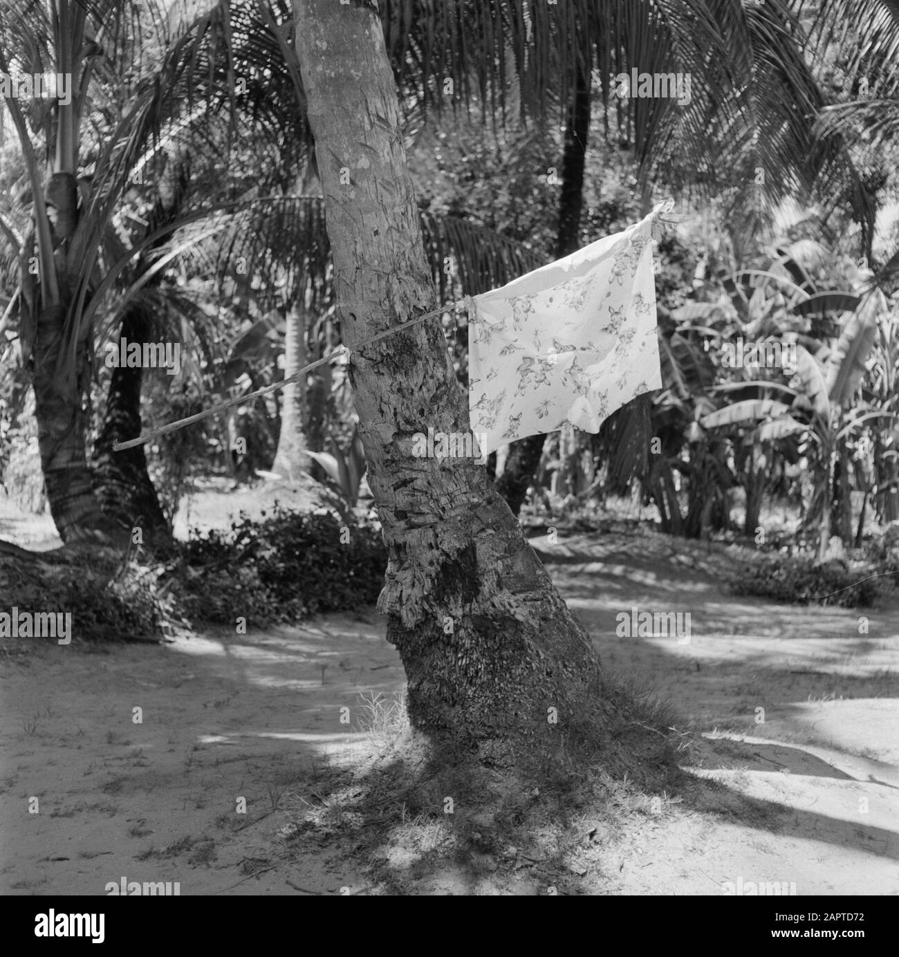 Netherlands Antilles and Suriname at the time of the royal visit of ...