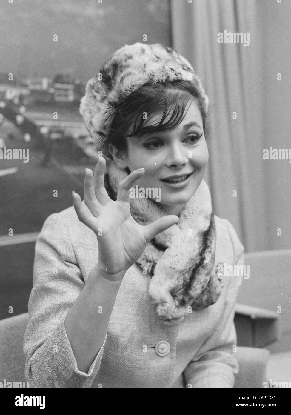 Gila golan hi-res stock photography and images - Alamy