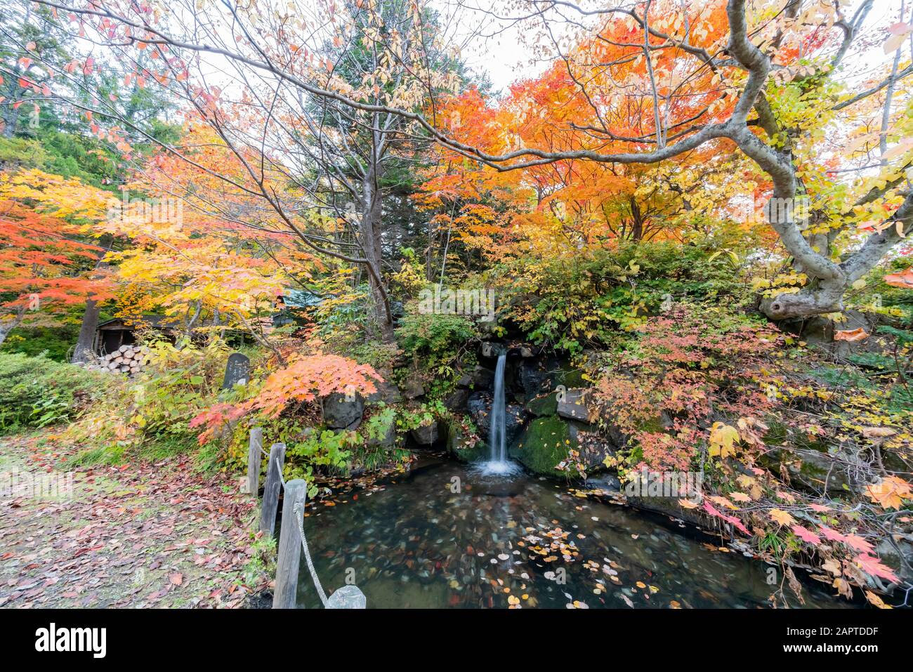 Beautiful fall color of the Tsutanuma area at Aomori, Japan Stock Photo ...
