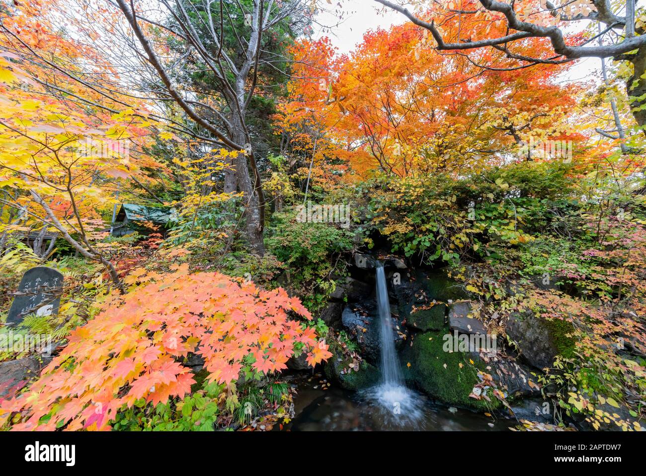 Beautiful fall color of the Tsutanuma area at Aomori, Japan Stock Photo ...
