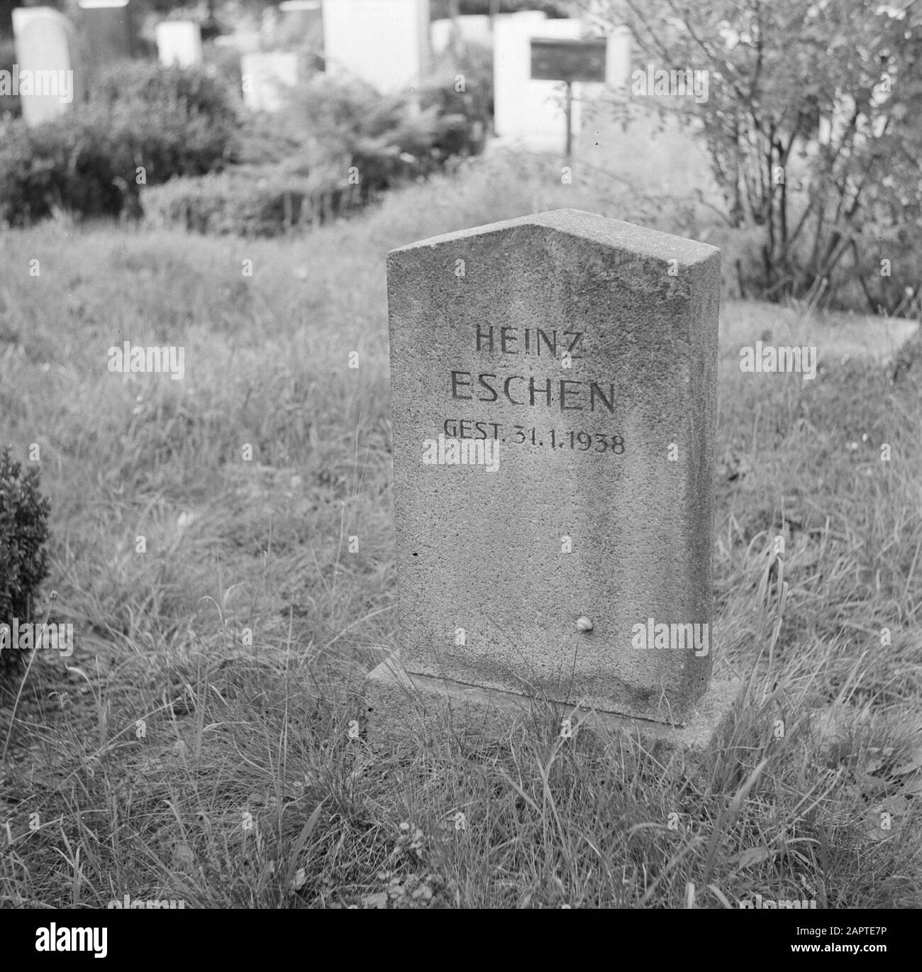 Heinz eschen hi-res stock photography and images - Alamy