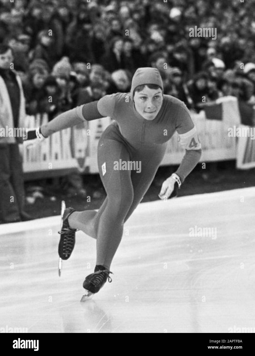 Haitske pijlman hi-res stock photography and images - Alamy