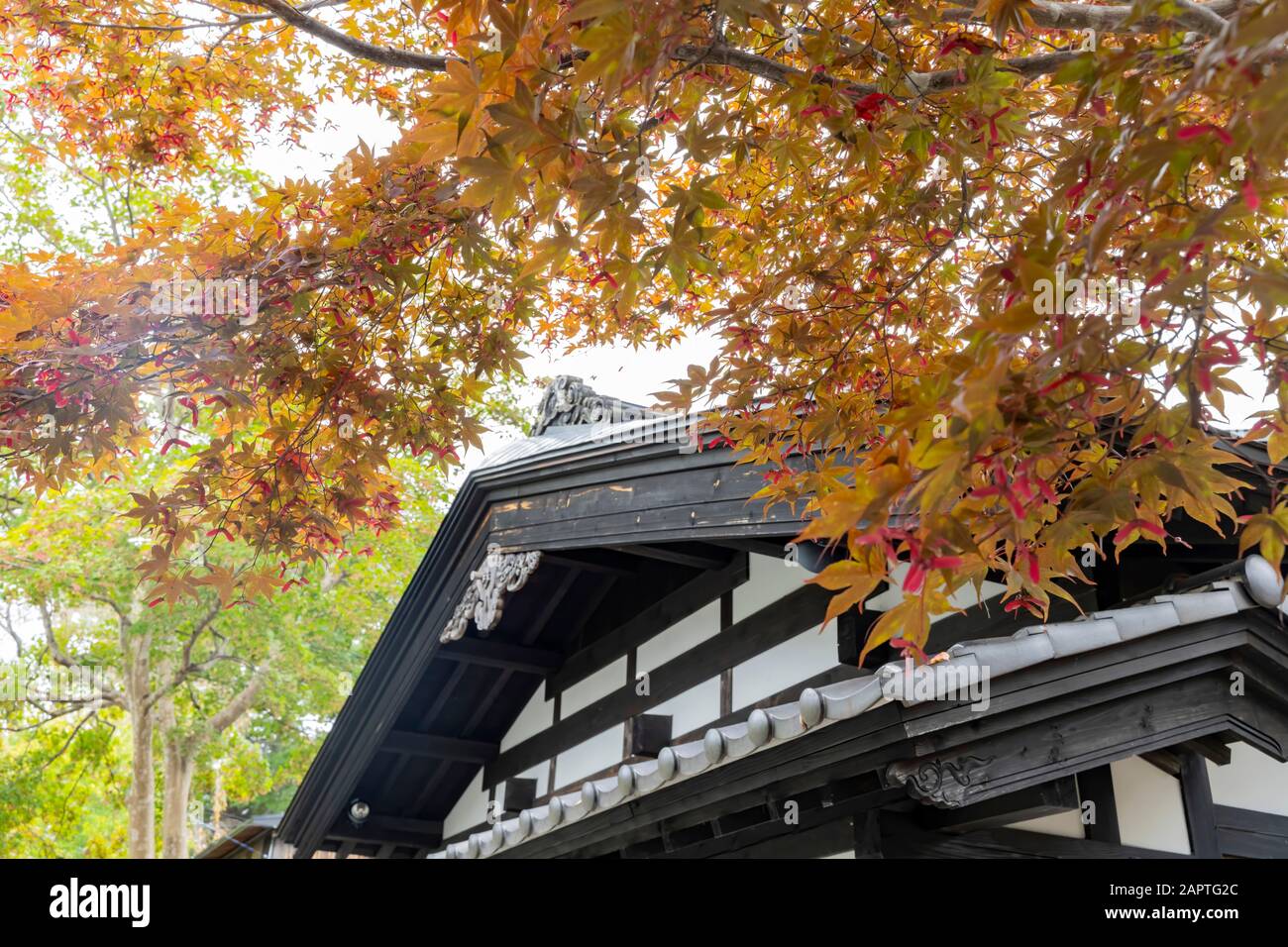 Exterior view of the Kakunodate Samurai House at Kakunodate, Japan ...