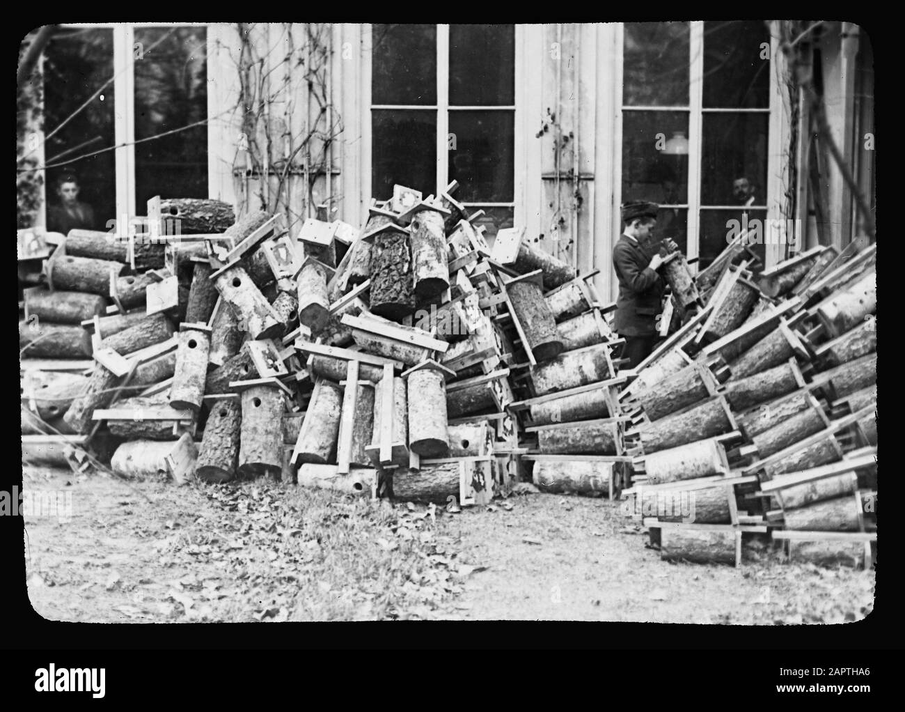artificial birdhouses Date: undated Location: Utrecht Keywords: birds ...