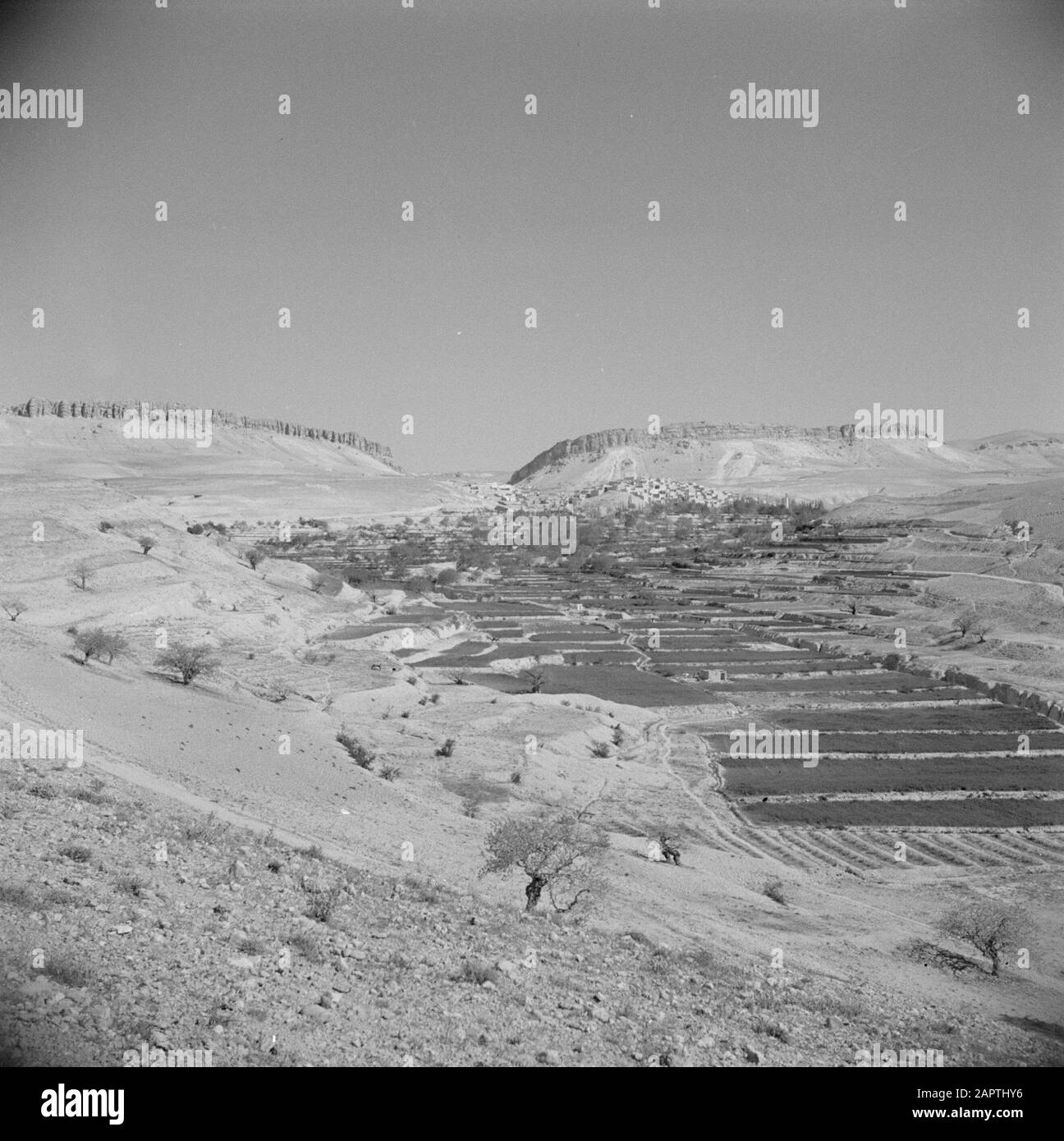 Middle East 1950-1955: Syria The village of Ain et Tina in the Anti ...