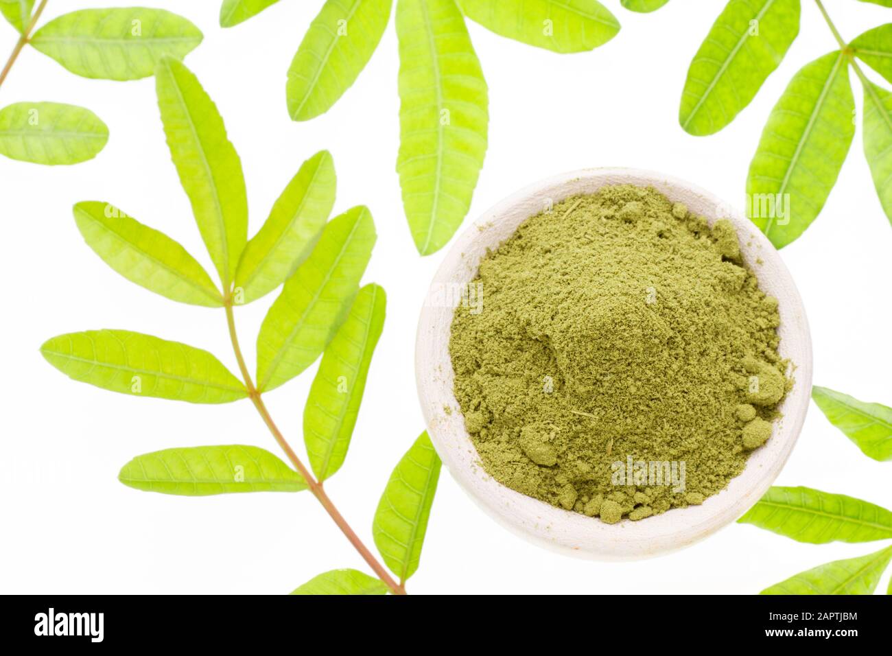 leaves and moringa powder, super food and natural medicine, Moringa ...