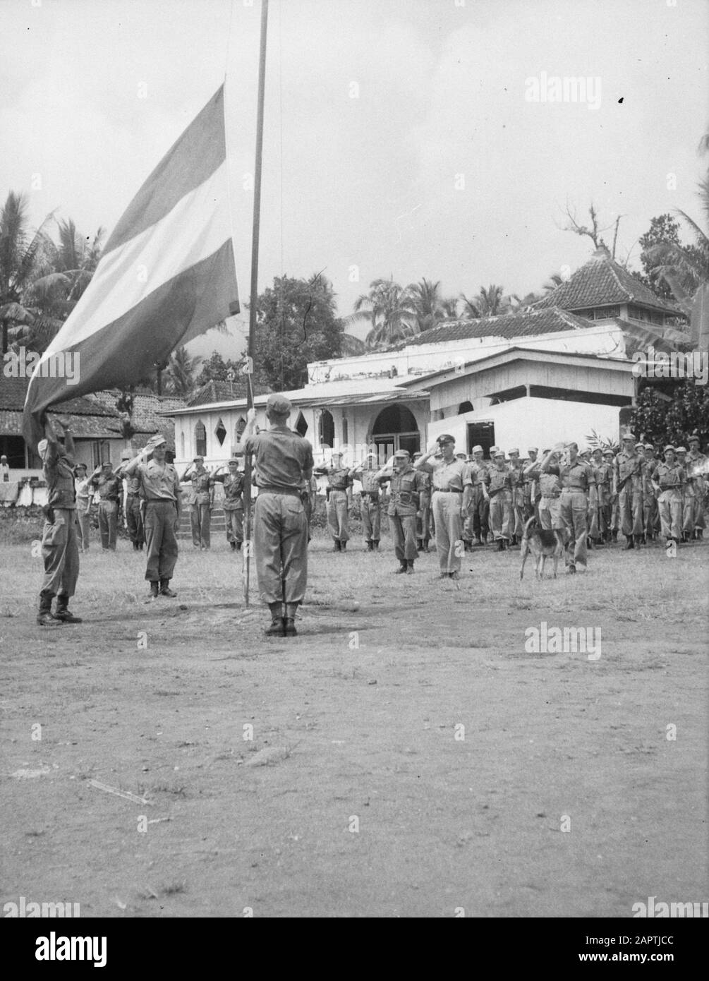 Cilimus hi-res stock photography and images - Alamy