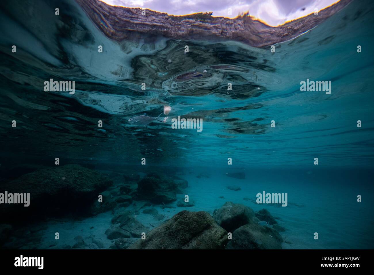 BLUE UNDER WATER, Sea or ocean underwater coral reef Stock Photo - Alamy