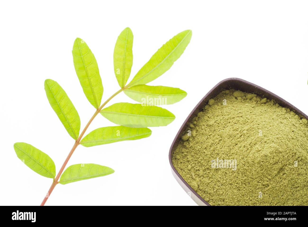 leaves and moringa powder, super food and natural medicine, Moringa ...