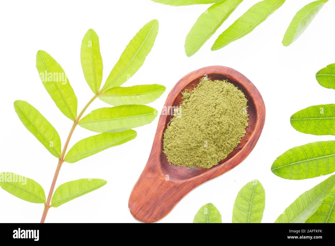 leaves and moringa powder, super food and natural medicine, Moringa ...