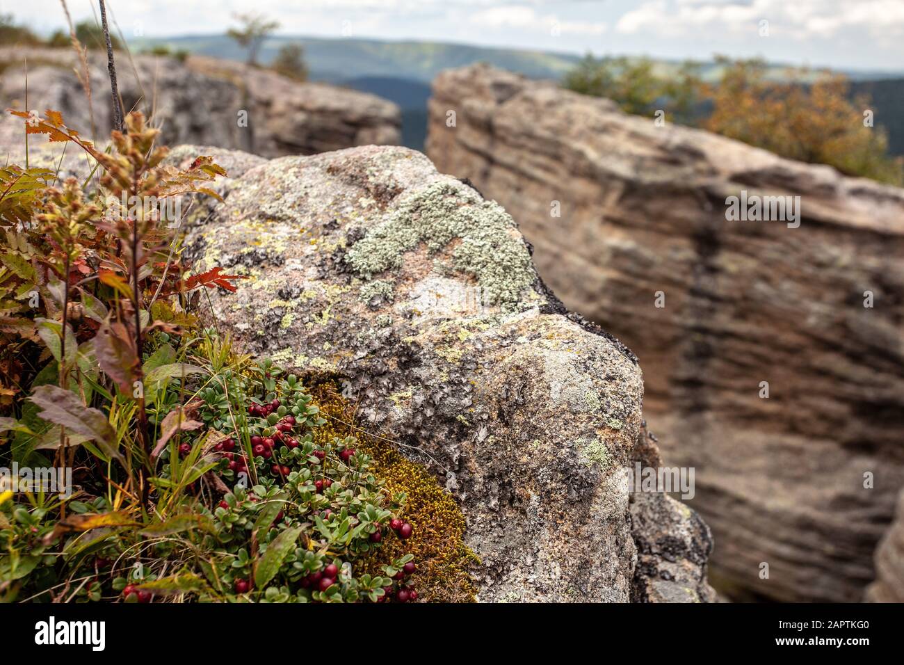 Stone labyrinth. Rock formation in the Caucasus Mountains Stock Photo ...