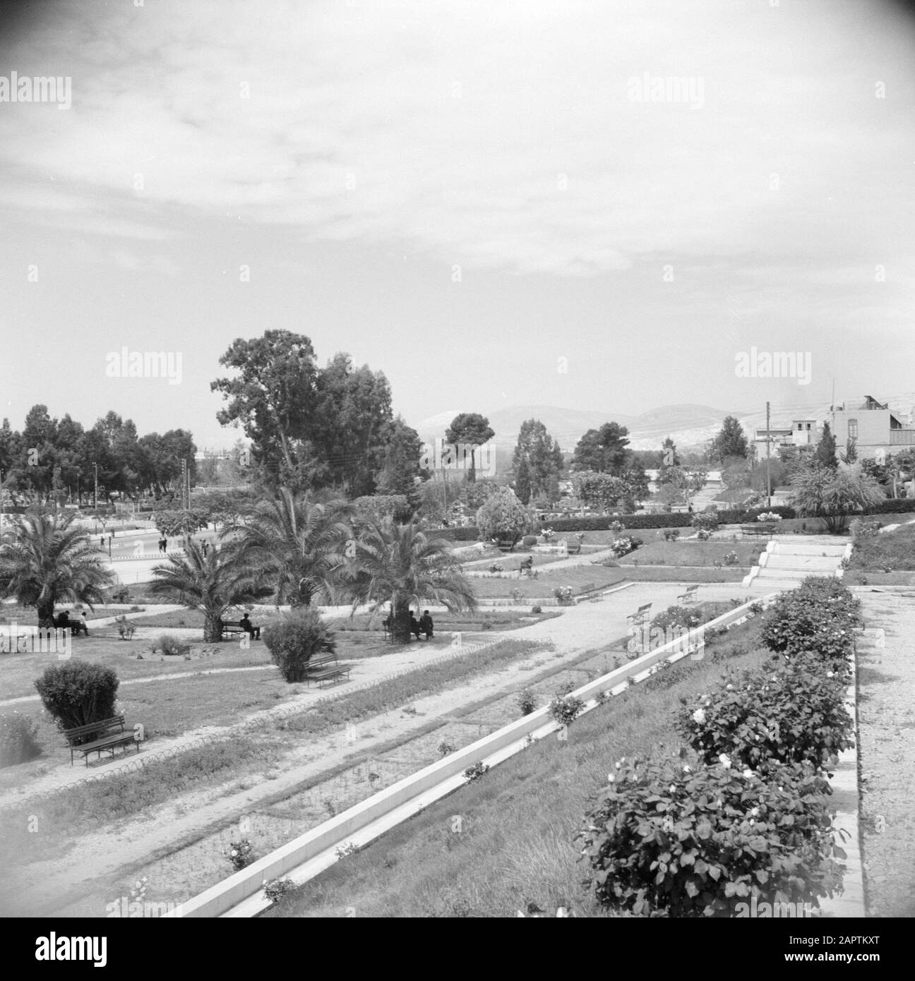 Middle East 1950-1955: Syria - Damascus The park of the Sultan Suleyman ...